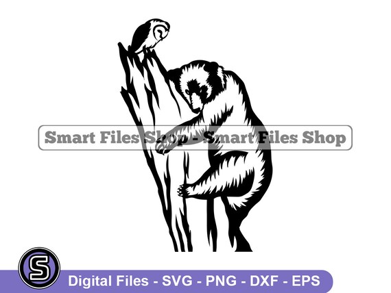 Bear on A Tree SVG Bear Svg Grizzly Bear Svg Forest - Etsy