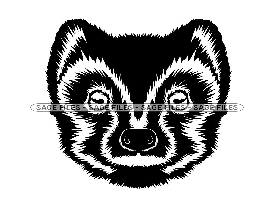 Mongoose Mascot SVG Mongoose Face SVG Mongoose Head Svg - Etsy