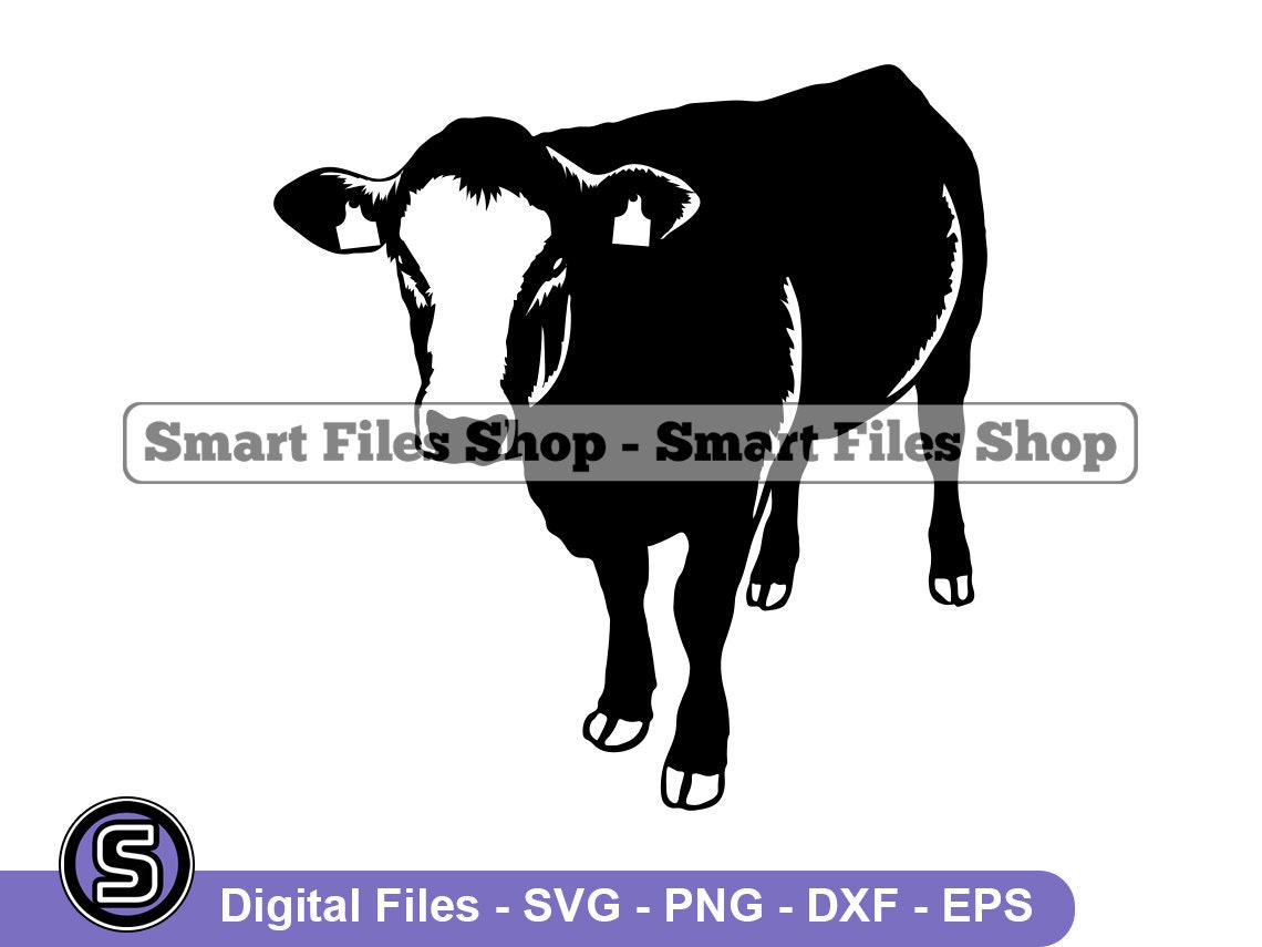 Cattle Svg Cow Svg Heifer Svg Cattle Dxf Cattle Png - Etsy UK