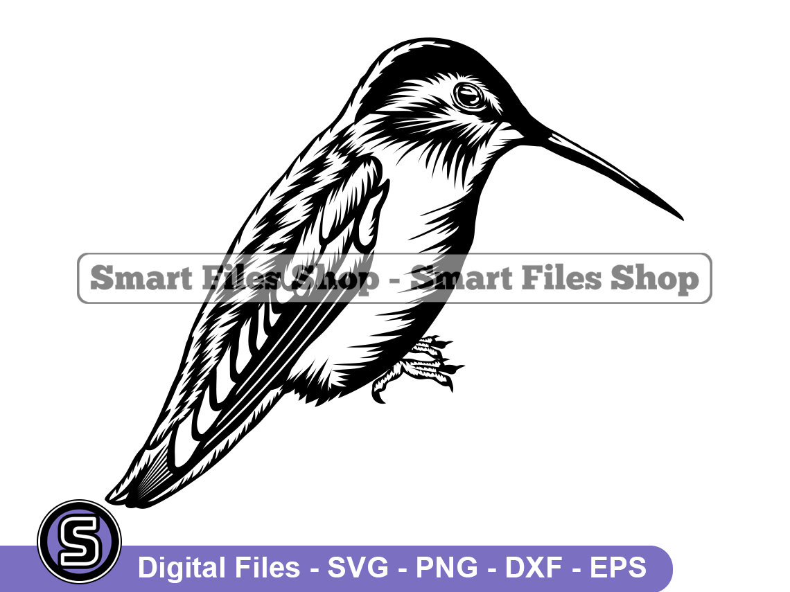 Hummingbird SVG Bird Svg Hummingbird Dxf Hummingbird Png | Etsy