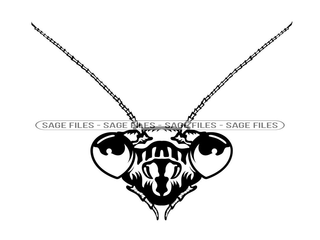 Praying Mantis Mascot SVG, Praying Mantis Face SVG, Praying Mantis Head ...