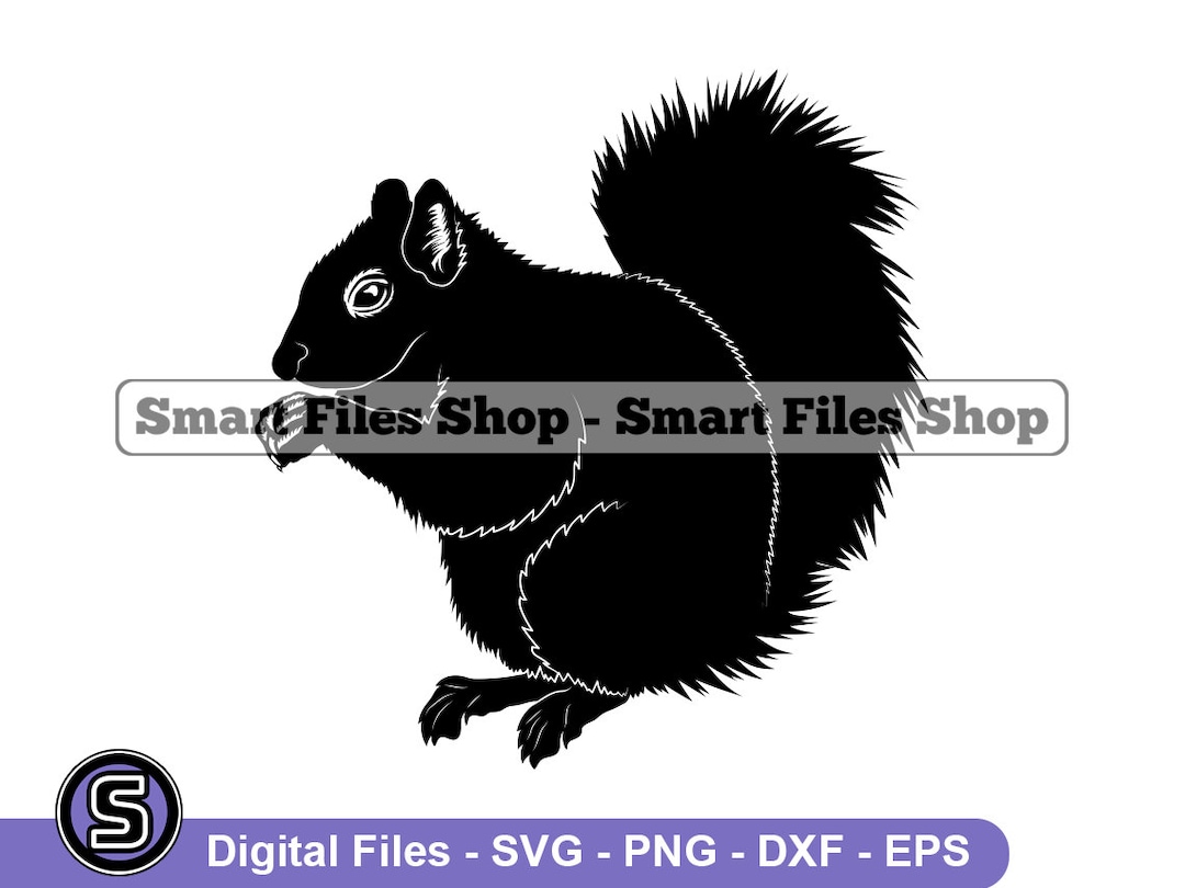 Squirrel In Tree Clipart Black And White