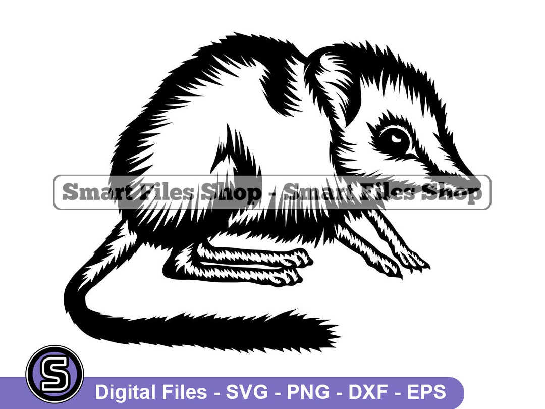 Little Red Kaluta SVG, Kaluta SVG, Animals Svg, Little Red Kaluta Dxf ...