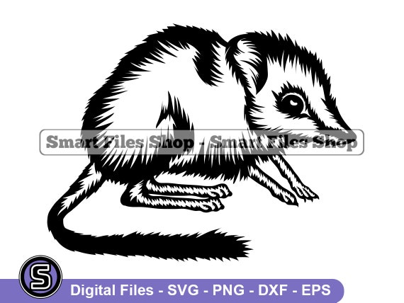 Little Red Kaluta SVG Kaluta SVG Animals Svg Little Red | Etsy