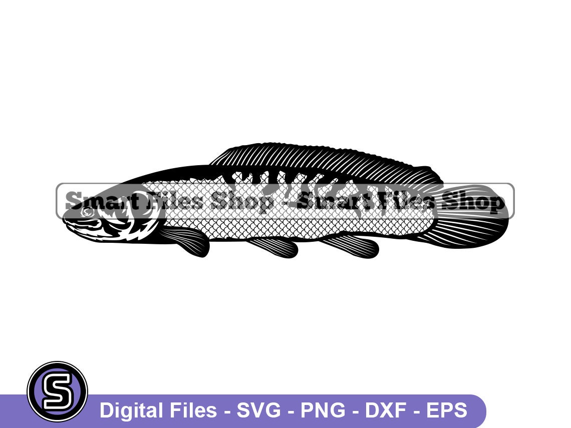 Bowfin Svg Fish Svg Fishing Svg Fishing Dxf Fishing Png - Etsy