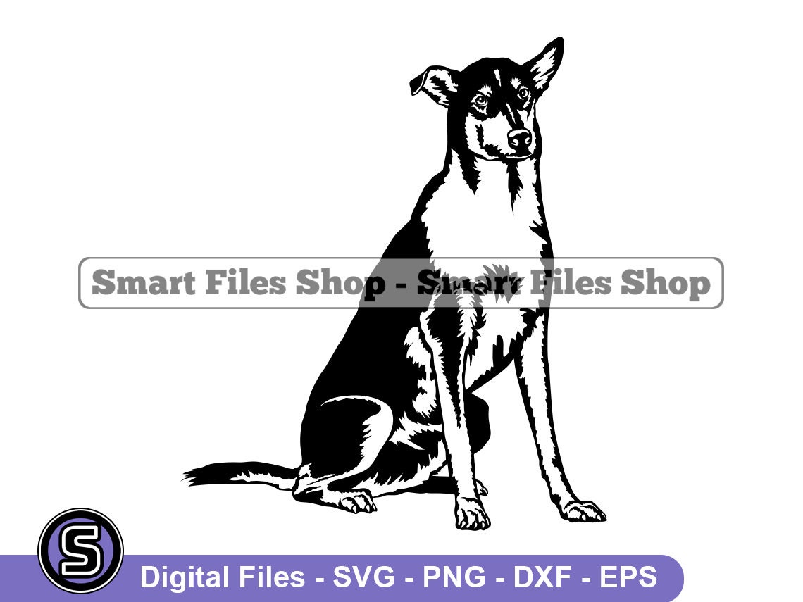 Sitting Smooth Collie SVG, Smooth Collie Svg, Dog Svg, Smooth Collie ...