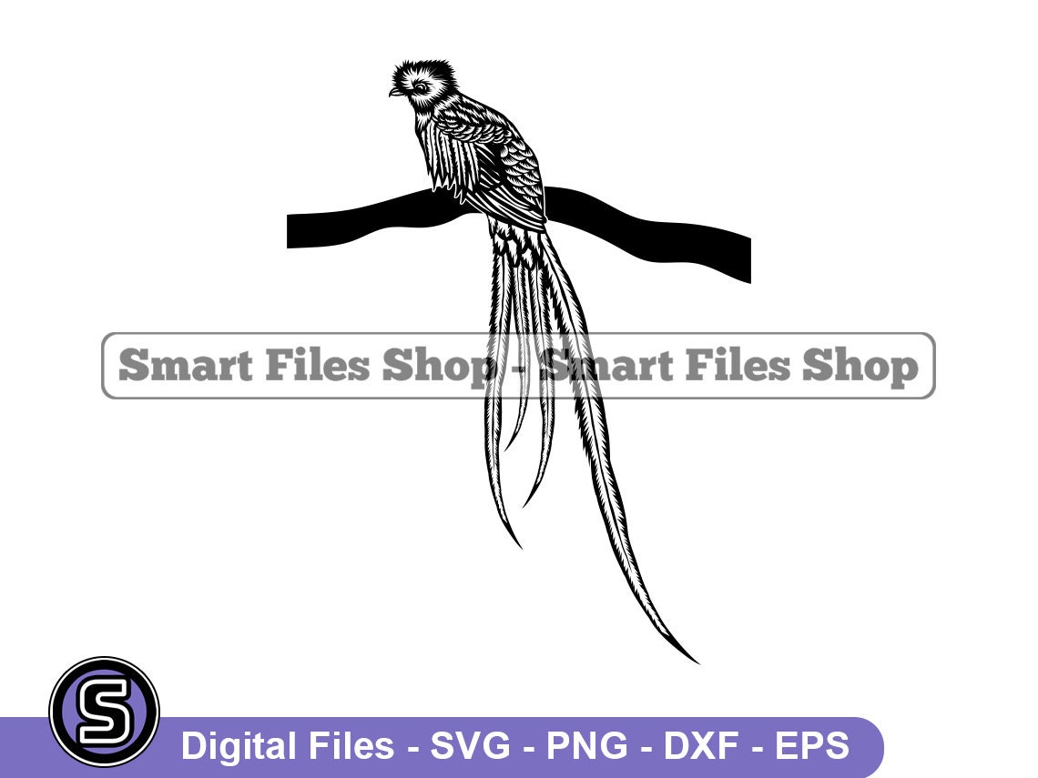 Quetzal 2 Svg Bird Svg Bird Design Svg Bird Dxf Bird Png - Etsy