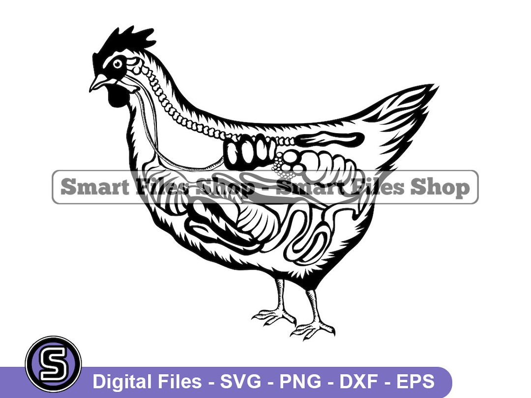 Huhn Anatomie SVG, Huhn Svg, Bauernhof Tiere Svg, Huhn Dxf, Huhn Png ...