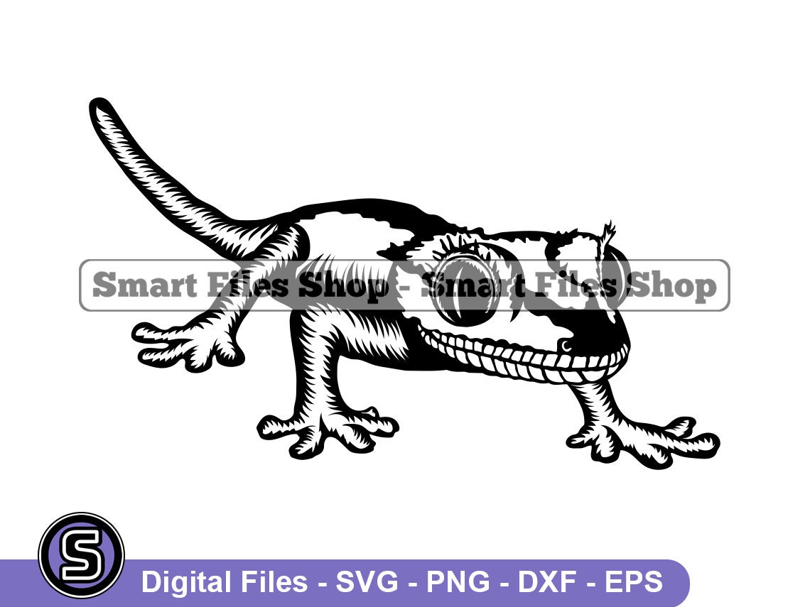 Gecko 3 Svg Gecko Svg Gecko Design Lizard Svg Gecko Dxf | Etsy