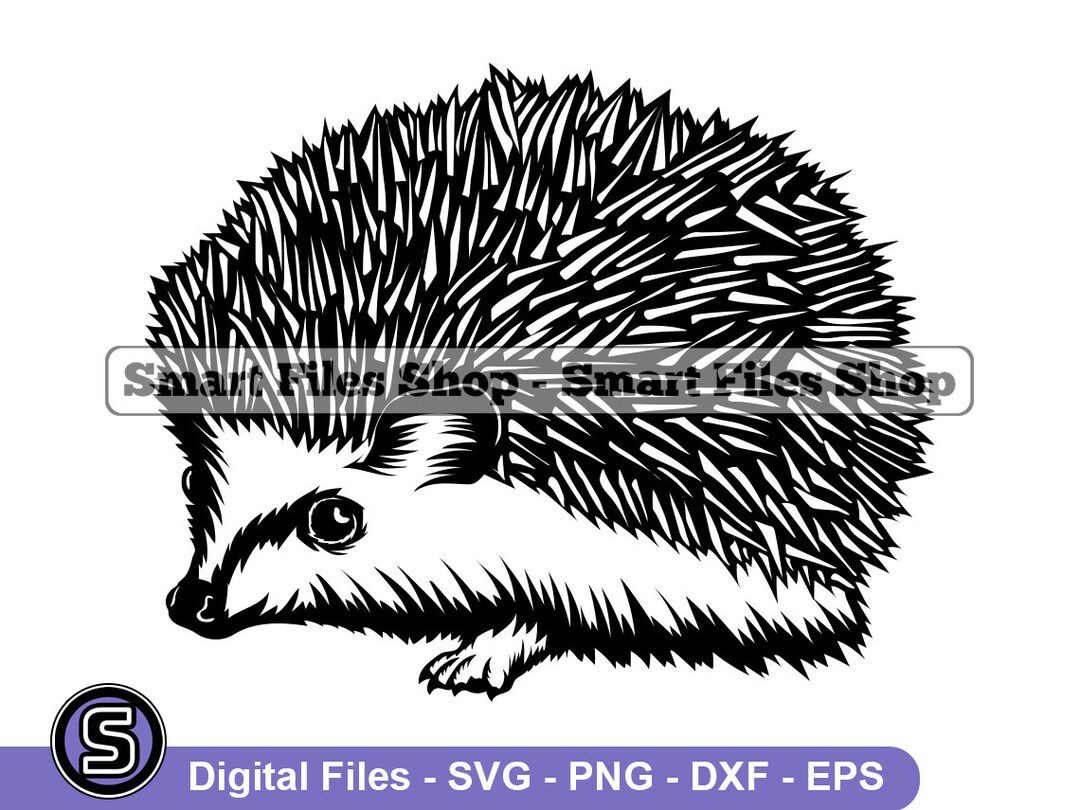 Hedgehog SVG, Forest Creatures Svg, Hedgehog Dxf, Hedgehog Png ...