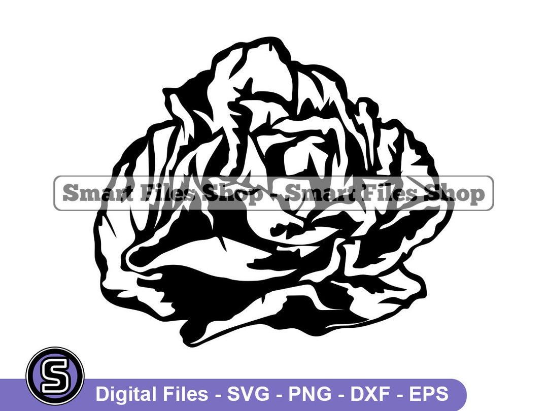 Green Butter Lettuce Svg, Vegetable Svg, Lettuce Svg, Food Svg, Cooking ...