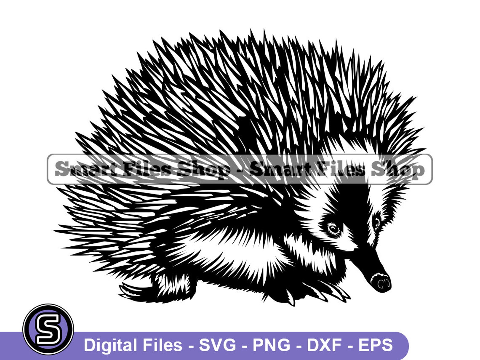 Echidna Svg Echidna Design Svg Echidna Dxf Echidna Png | Etsy