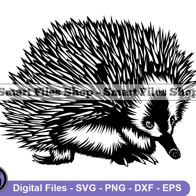 Echidna - Etsy Australia