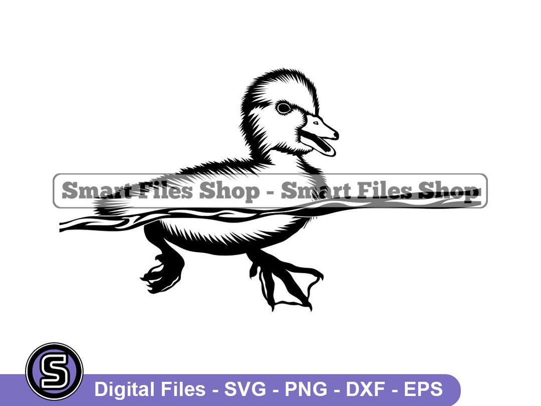 Schwimmende Ente Svg, Enten Svg, Ente Svg, Baby Ente Dxf, Baby Ente Png ...