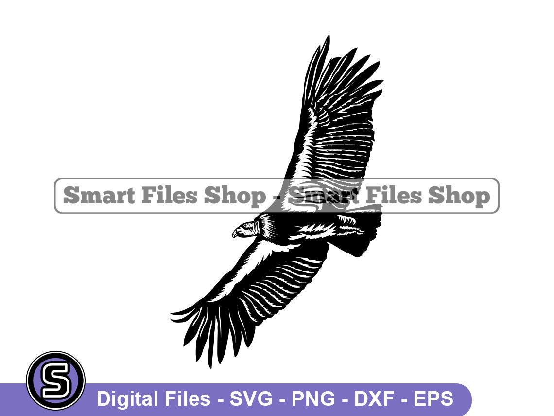 Condor Svg, Predator Bird Svg, Condor Dxf, Condor Png, Condor Clipart ...