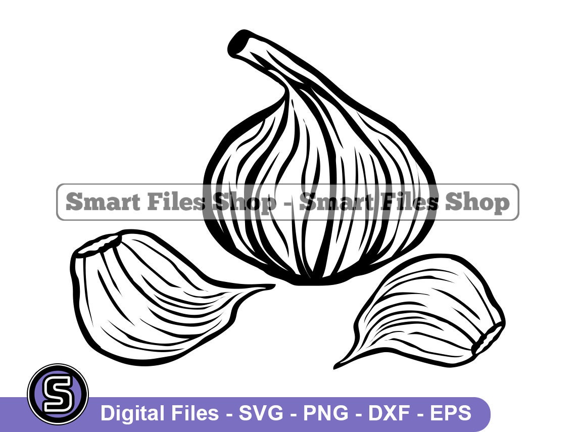 Garlic #2 Svg, Garlic Svg, Vegetable Svg, Garlic Dxf, Garlic Png ...