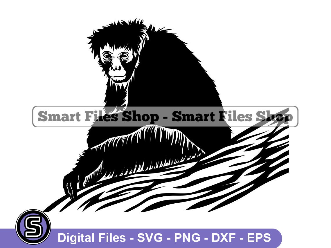 Red-faced Spider Monkey SVG Monkey SVG Monkey Dxf Monkey | Etsy
