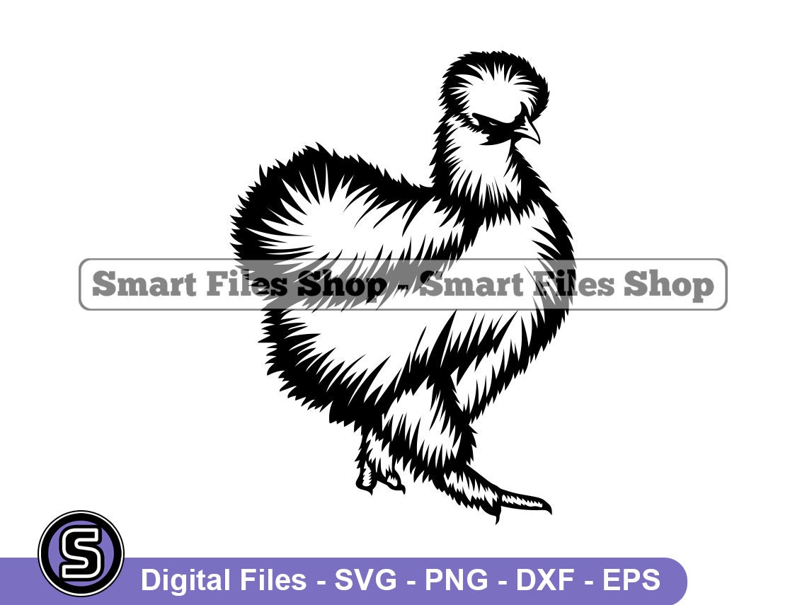 Silkie Broiler Chicken Svg Chicken Dxf Chicken Png Chicken | Etsy