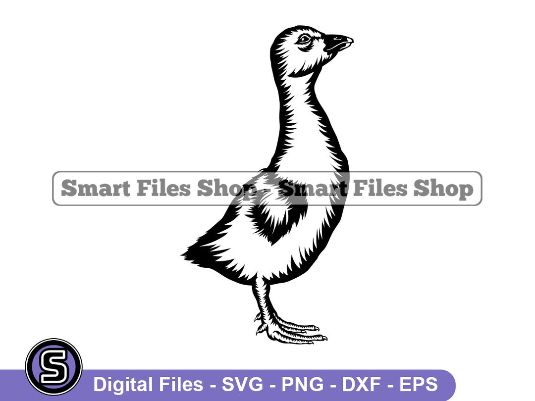 Baby Goose SVG, Goose SVG, Geese Svg, Baby Goose Dxf, Baby Goose Png ...