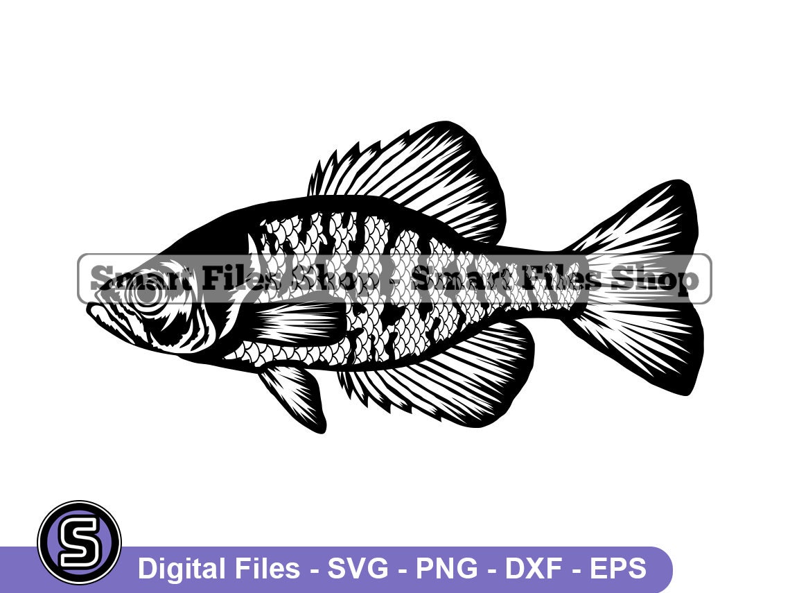White Crappie Svg, Fish Svg, Fishing Svg, Fishing Dxf, Flower Png ...