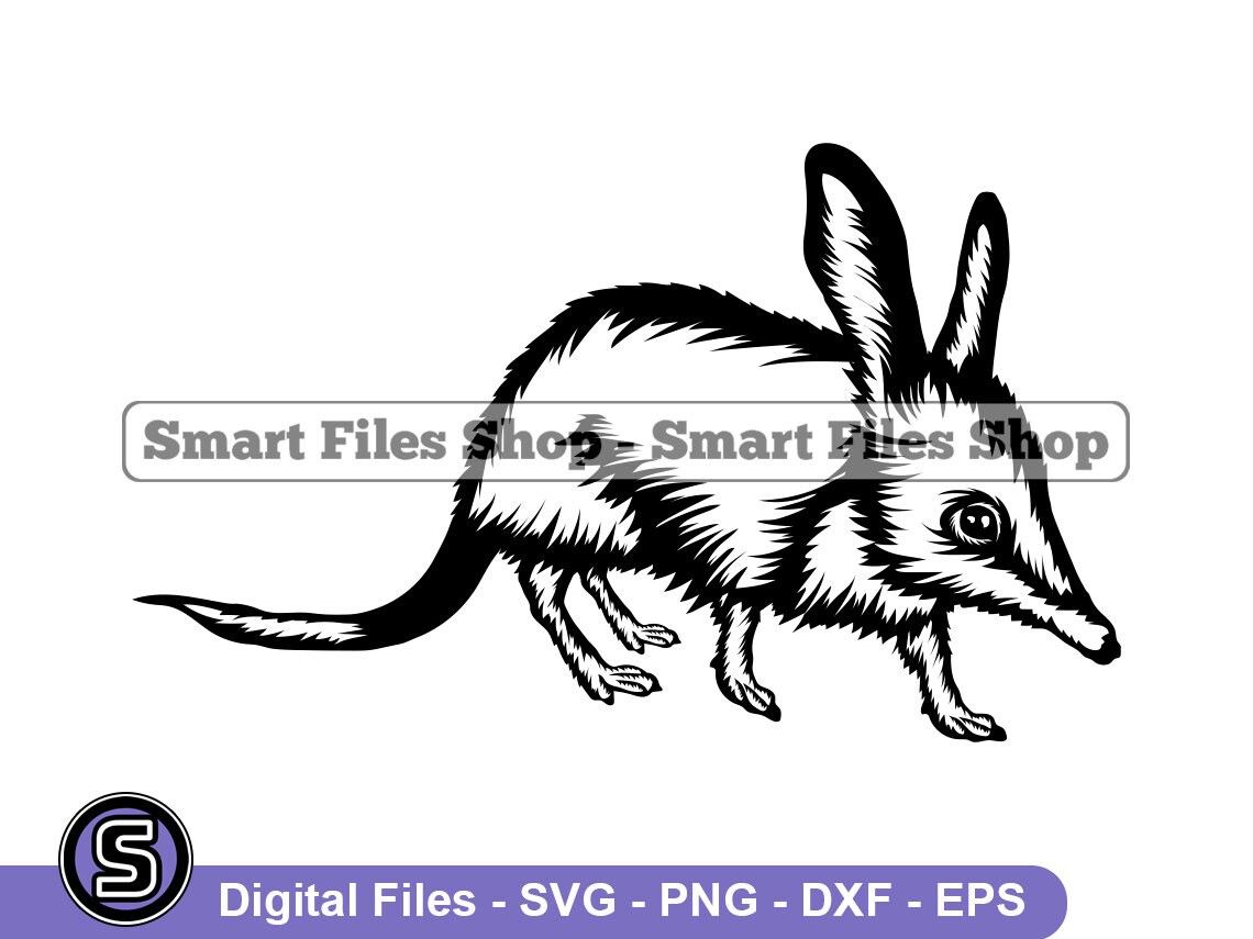 Greater Bilby SVG, Animals Svg, Bilby Dxf, Bilby Png, Bilby Clipart ...