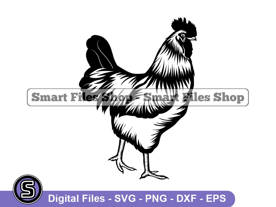 Brahma Rooster Svg Rooster Dxf Rooster Png Rooster Clipart - Etsy