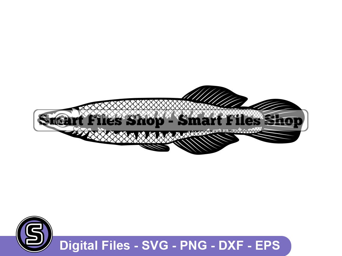 Blackspotted Topminnow Svg Fish Svg Fishing Svg Fishing | Etsy