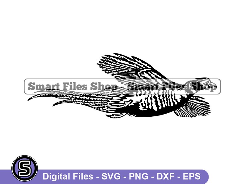 Pheasant 7 SVG Pheasant SVG Pheasant Dxf Pheasant Png - Etsy