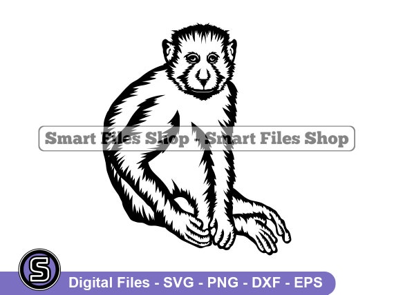 Macaque SVG Monkey SVG Animals Svg Macaque Dxf Macaque | Etsy