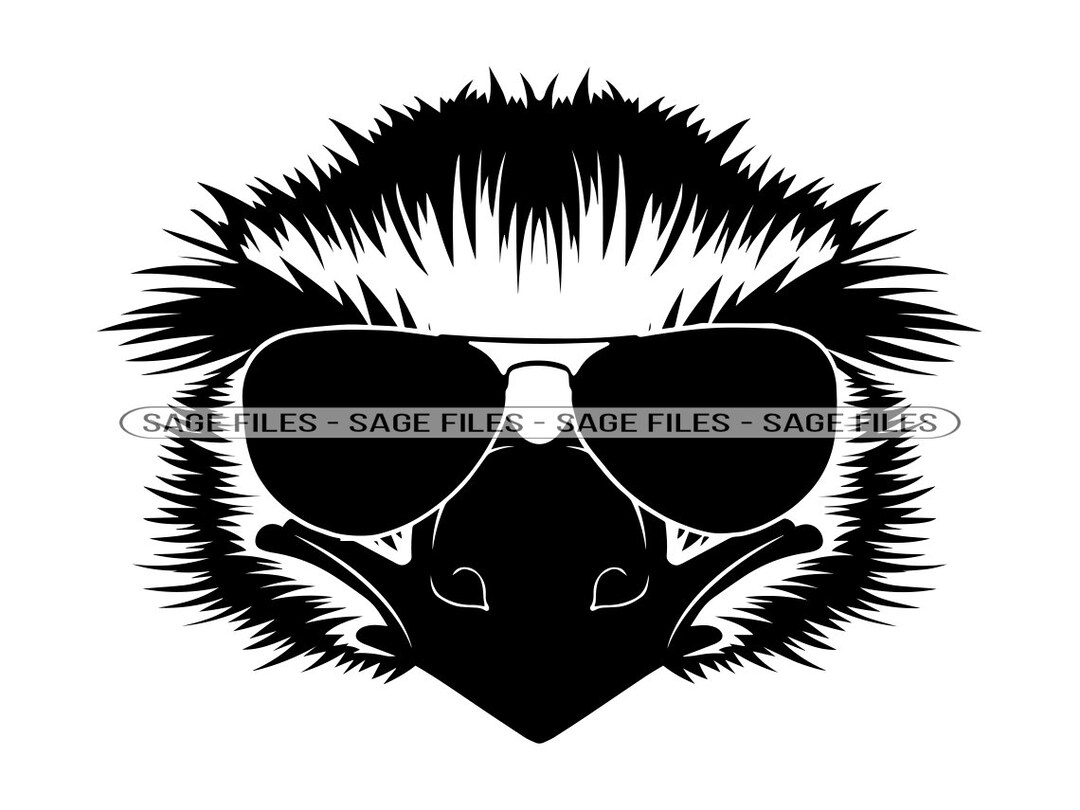 Emu in Sunglasses SVG, Emu SVG, Cool Emu Svg, Emu Dxf, Emu Png, Emu ...