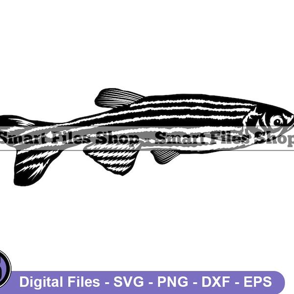 Zebra Fish - Etsy