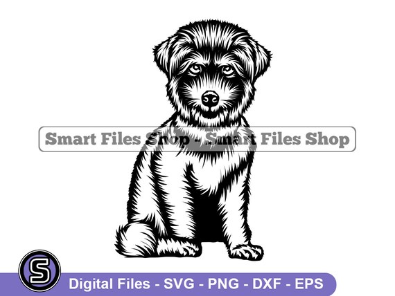Sitting Poochon SVG Poochon Svg Dog Svg Poochon Dxf | Etsy