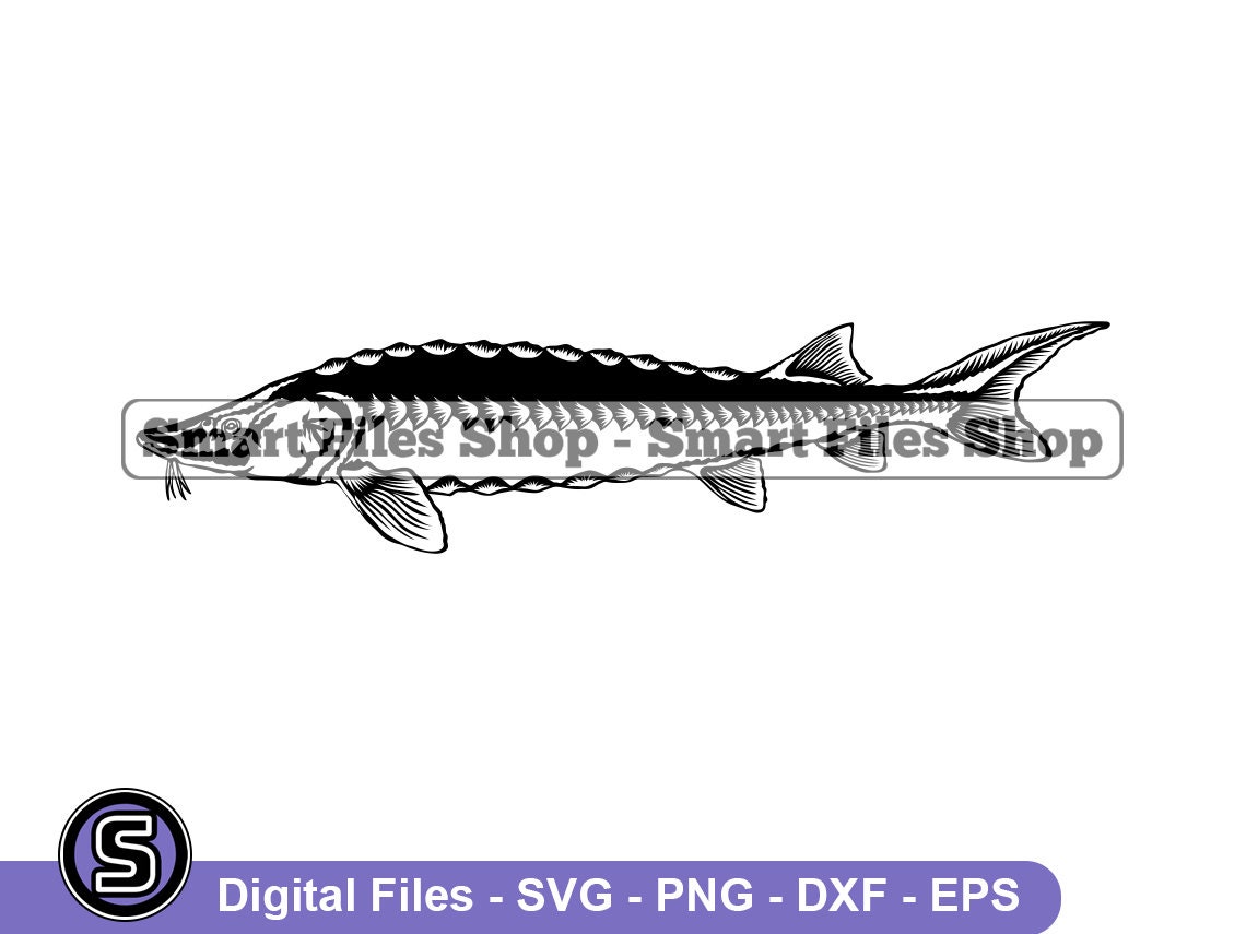 Lake Sturgeon Svg Fish Svg Fishing Svg Fishing Dxf Fishing - Etsy Canada