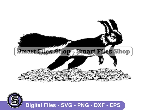 Squirrel Running Clipart