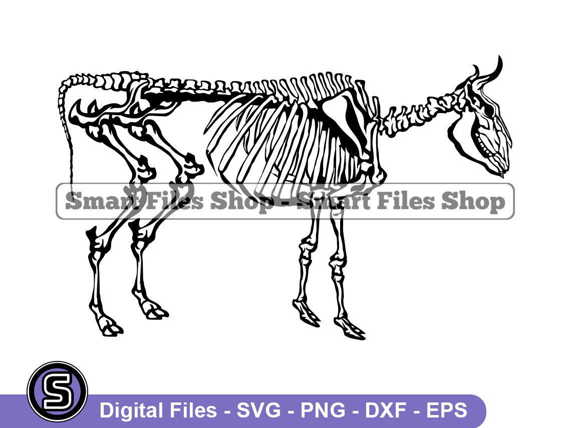 Cow Skeleton SVG Cow Svg Cattle Svg Farm Animals Svg Cow - Etsy