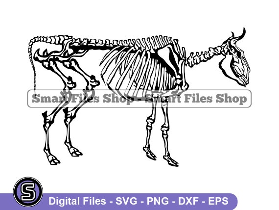 Cow Skeleton SVG Cow Svg Cattle Svg Farm Animals Svg Cow - Etsy Norway