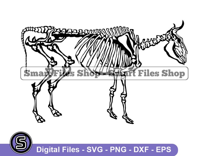 Cow Skeleton SVG Cow Svg Cattle Svg Farm Animals Svg Cow - Etsy
