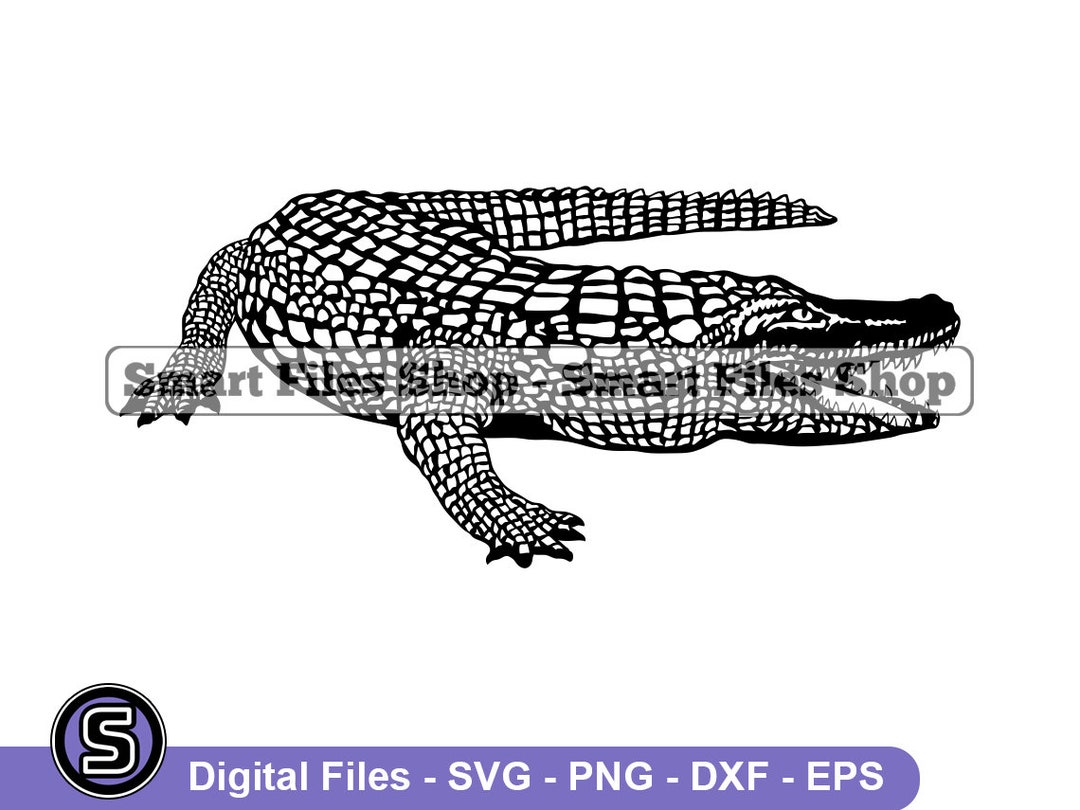 Alligator 5 Svg, Alligator Svg, Alligator Dxf, Alligator Png, Alligator ...