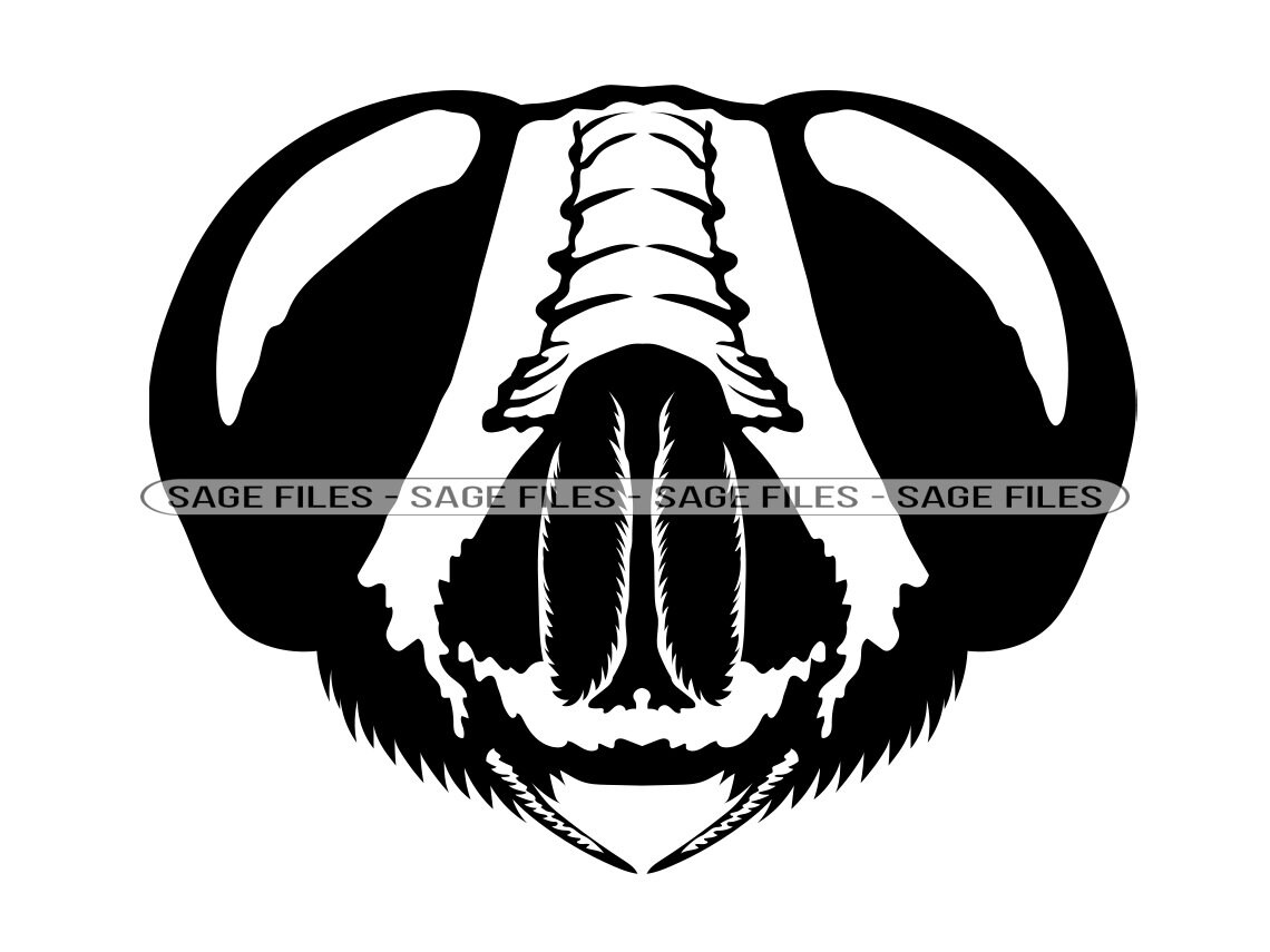 Fly Mascot SVG Fly Face SVG Fly Head Svg Fly Svg Insect - Etsy