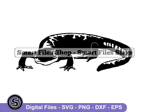 Salamander 3 Svg Salamander Svg Lizard Svg Salamander Cut - Etsy