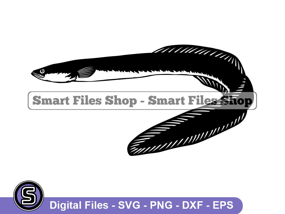 American Eel Svg Fish Svg Fishing Svg Fishing Dxf Fishing | Etsy
