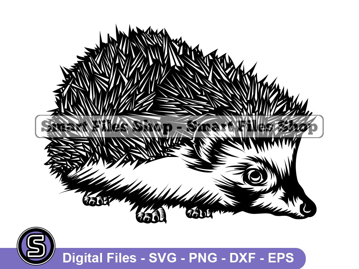 Hedgehog 4 SVG Hedgehog SVG Forest Creatures Svg Hedgehog | Etsy