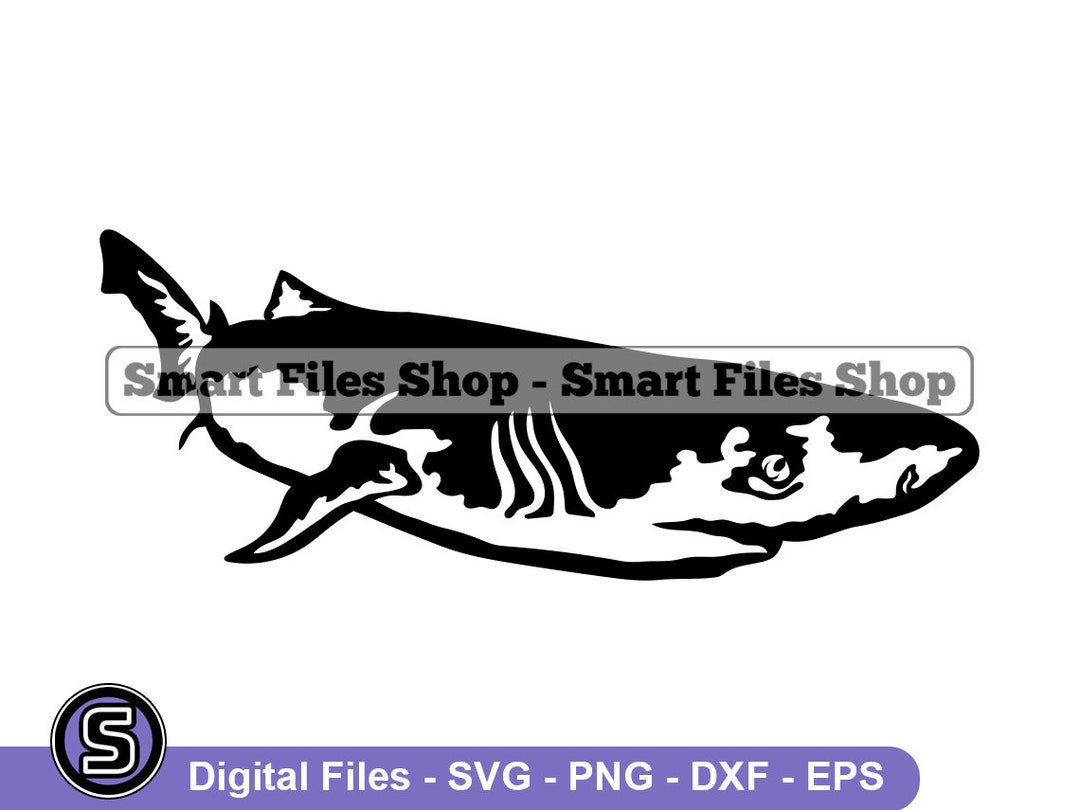 Pacific Sleeper Shark SVG, Shark Svg, Pacific Sleeper Shark Dxf, Shark ...