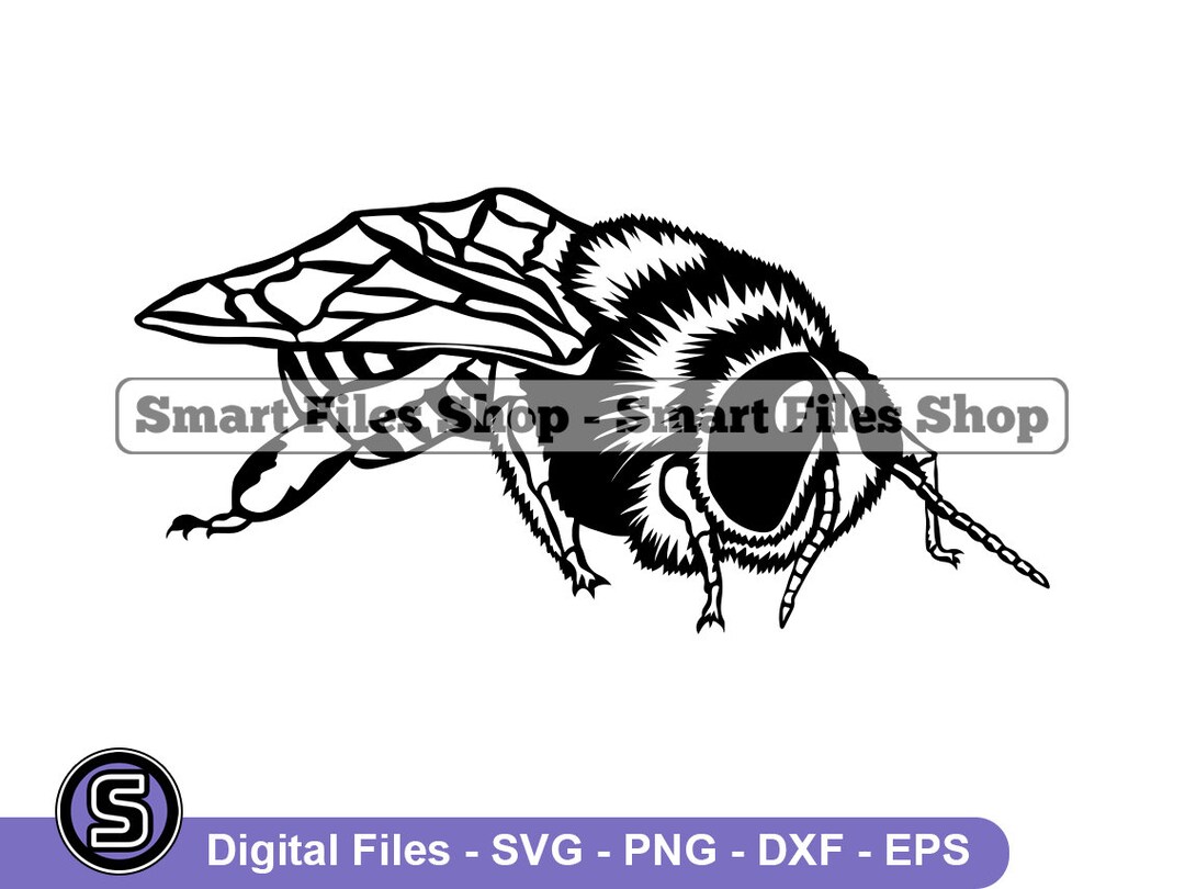 Drone Bee 3 Svg, Bee Svg, Honey Bee Svg, Bee Dxf, Bee Png, Bee Clipart ...