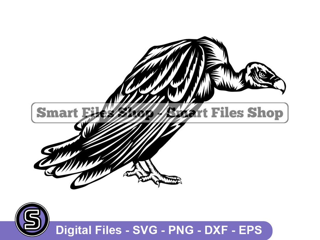 Vulture Svg, Vulture Svg, Vulture Dxf, Vulture Png, Vulture Clipart ...
