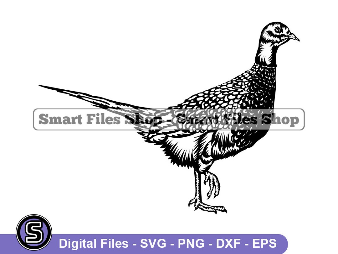 Pheasant #4 SVG, Pheasant SVG, Pheasant Dxf, Pheasant Png, Pheasant ...