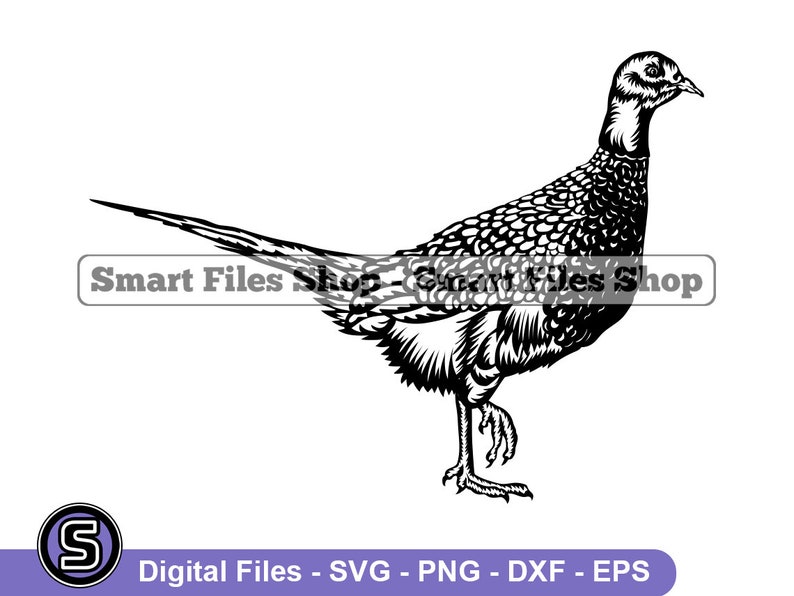Pheasant 4 SVG Pheasant SVG Pheasant Dxf Pheasant Png - Etsy