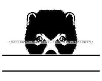 Mexican Raccoon Svg - Etsy