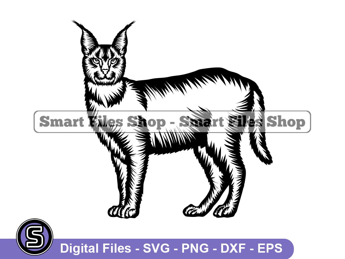 Caracal Svg Caracal Design Caracal Dxf Caracal Png Caracal - Etsy