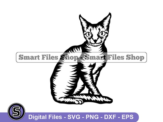 Devon Rex Cat 2 SVG Devon Rex Cat Svg Cat Svg Pet Svg Cat - Etsy Australia